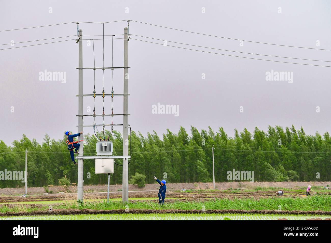HINGGAN LEAGUE, CHINA - MAY 25, 2023 - Workers of a power supply ...