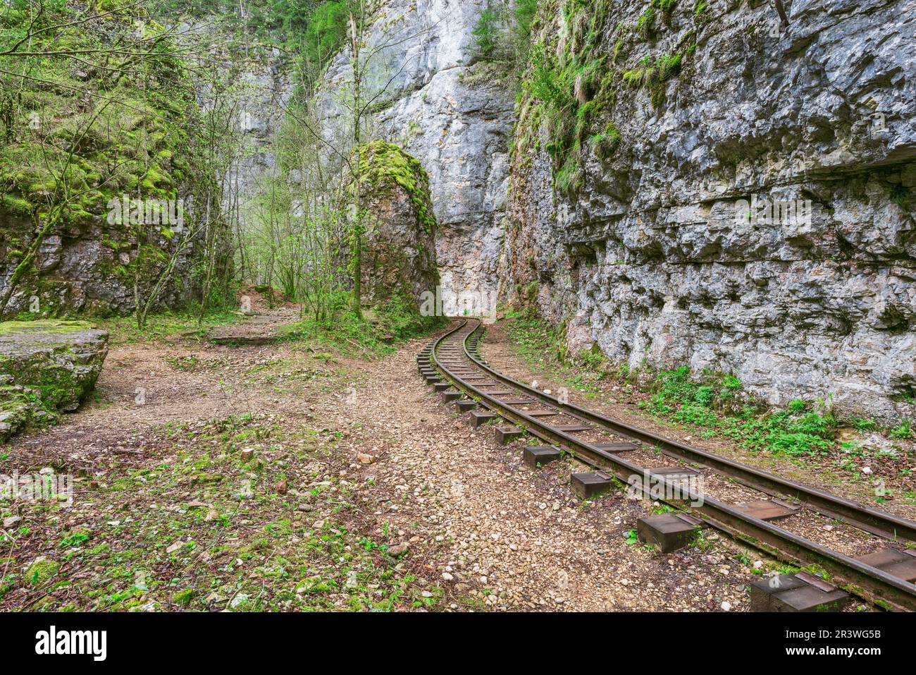 Narrow railway in the deep gorge. Caucasus. Russia Stock Photo - Alamy