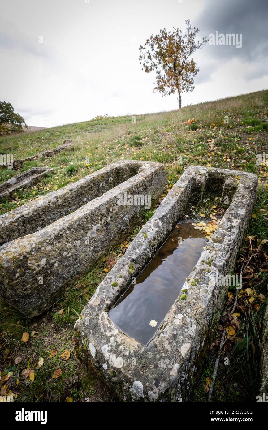 Cultural terminology hi-res stock photography and images - Alamy