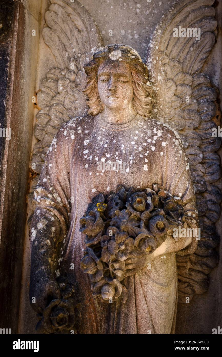 Sleeping angel with a bouquet of poppy flowers Stock Photo - Alamy
