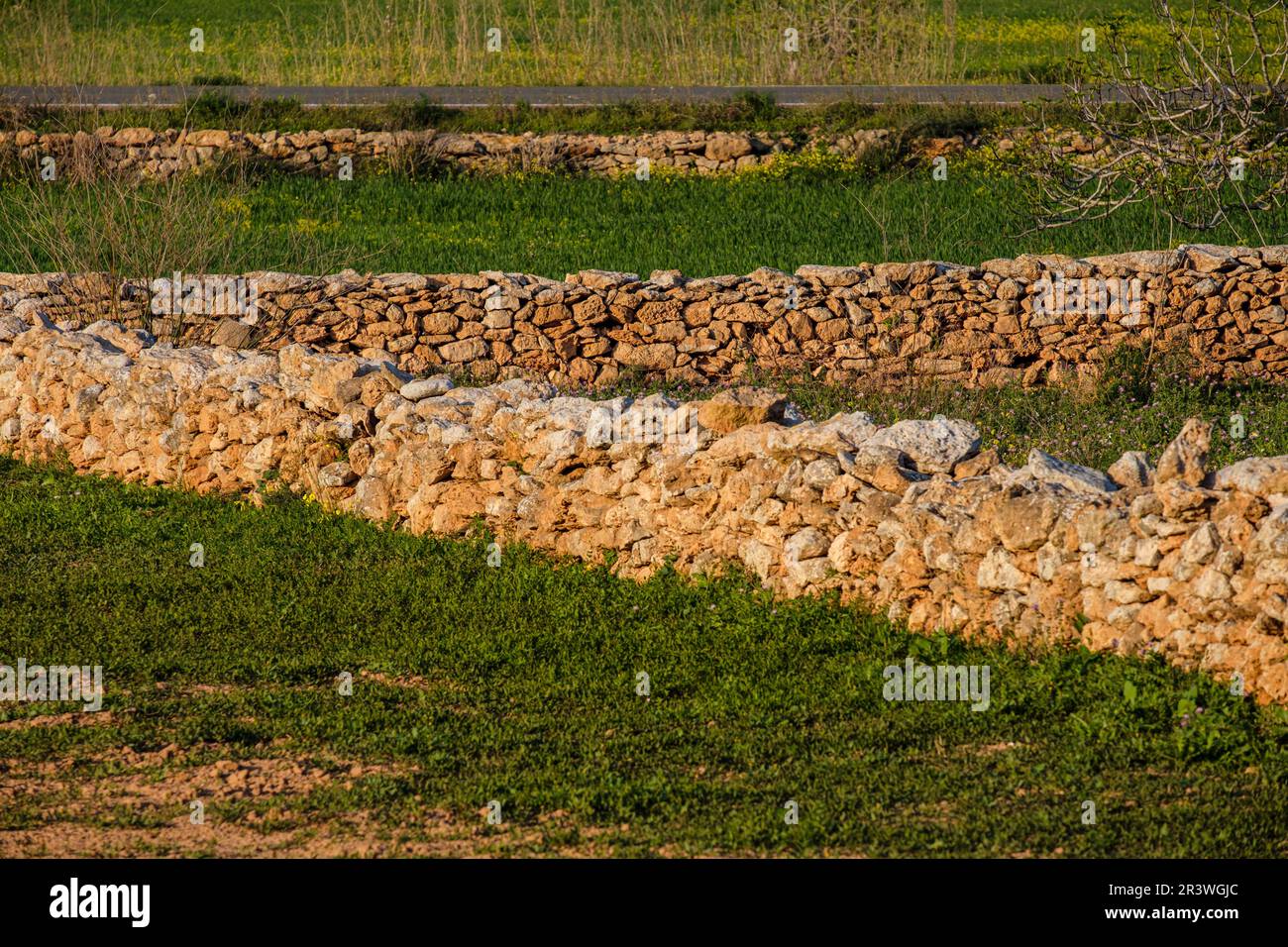 Traditional walls of agricultural parcels Stock Photo - Alamy