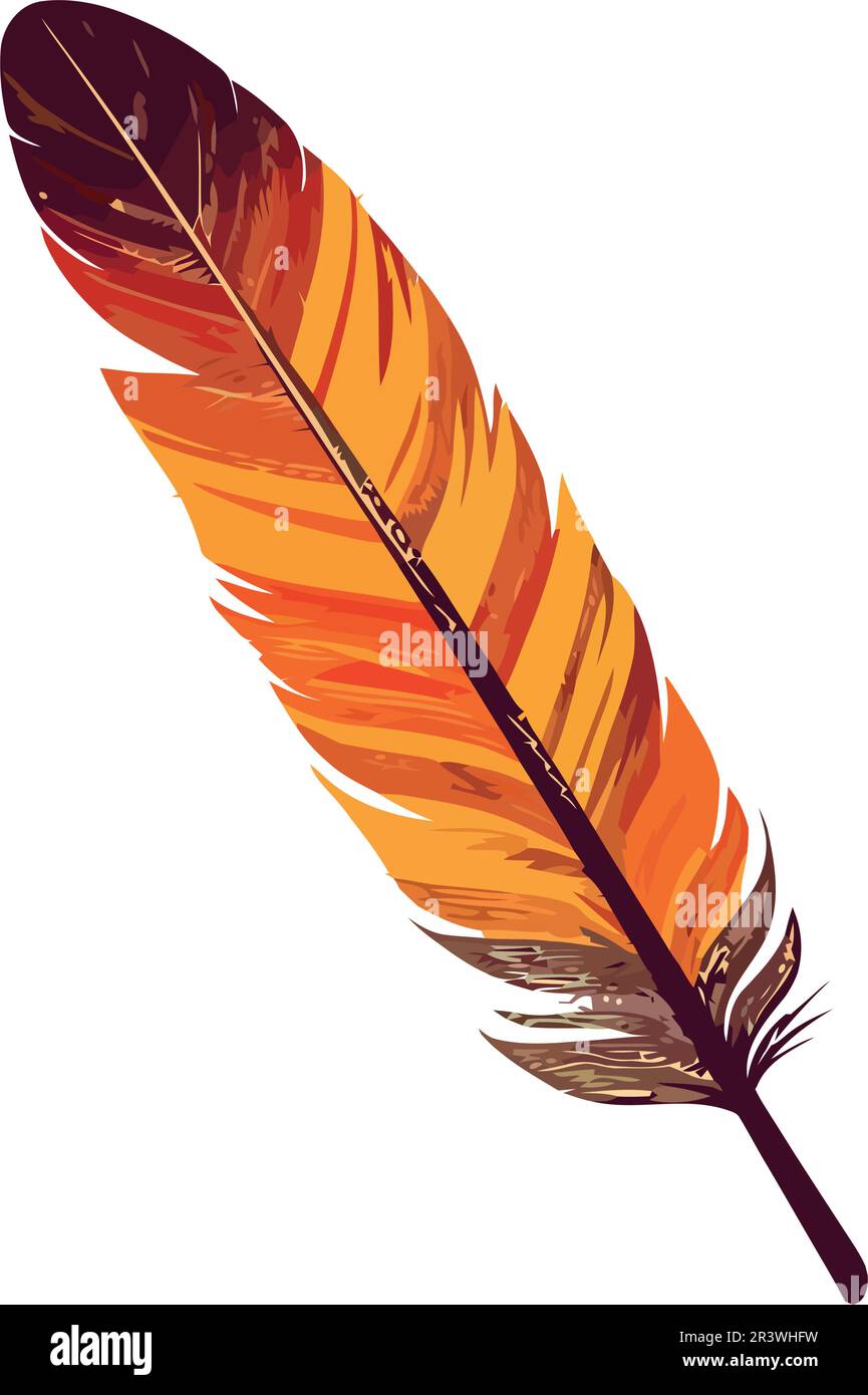 Peacock Feather Pen Vector