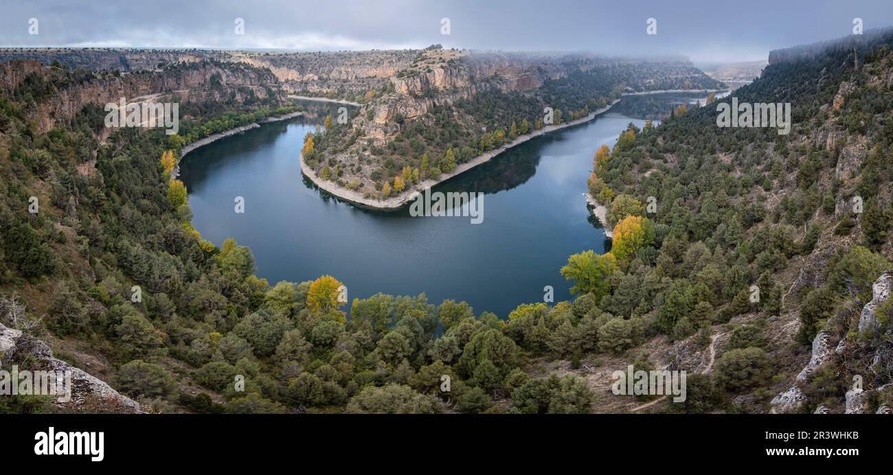 Epigénesis hi-res stock photography and images - Alamy