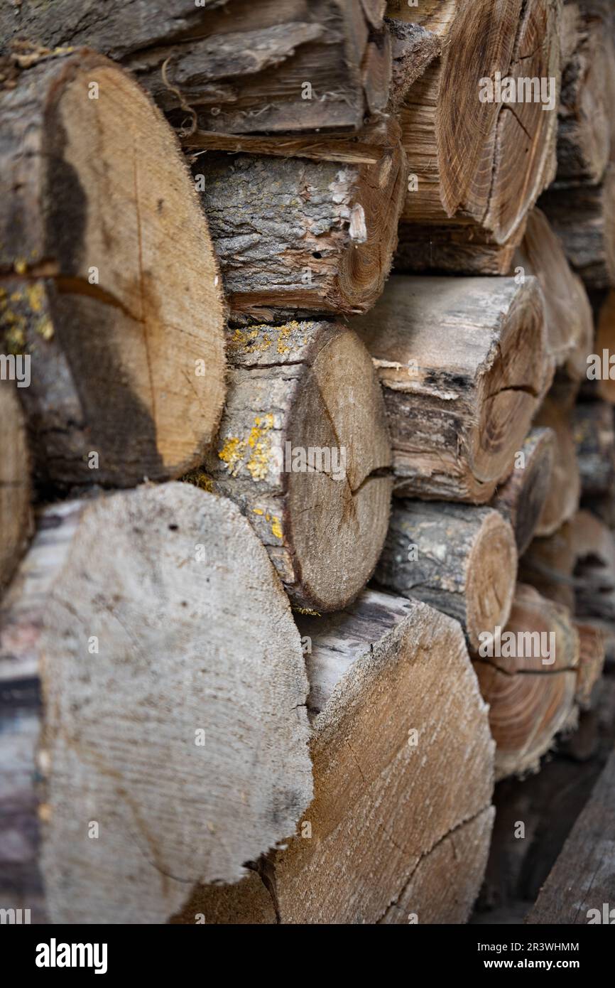 Stacks of firewood. Preparation of firewood for the winter. Global ...