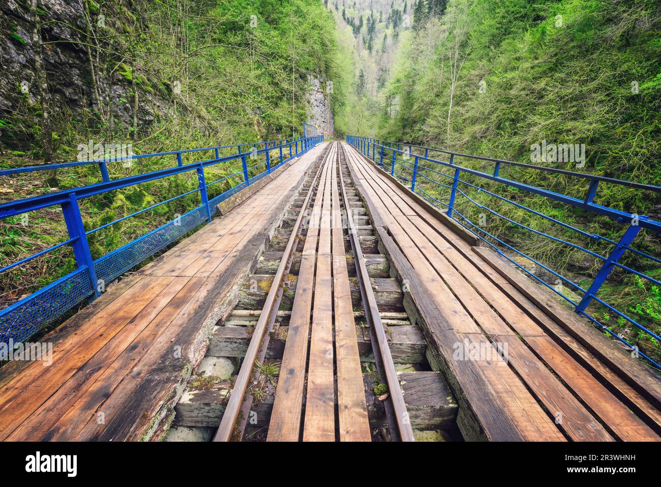 Narrow railway in the deep gorge. Caucasus. Russia Stock Photo - Alamy