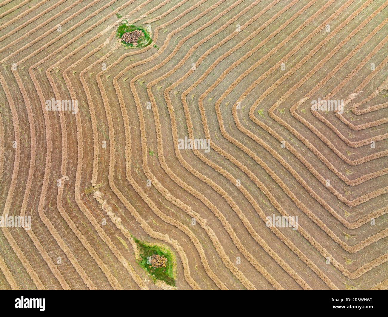 Aerial view of abstract patterns and lines in a harvested field at ...