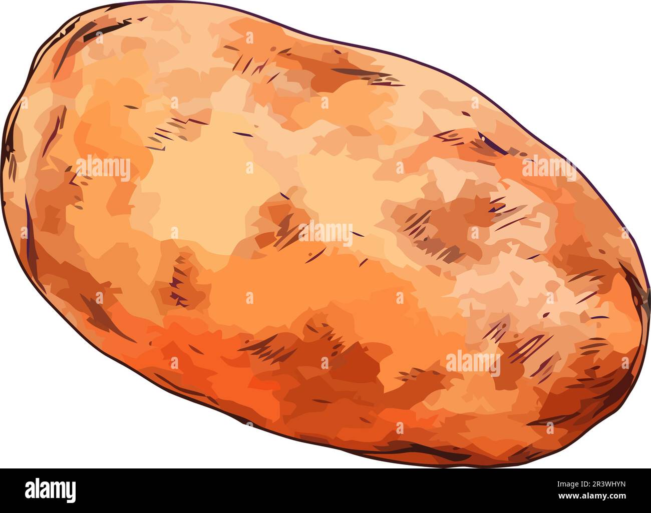 Fresh potato, hand drawn illustration sketch Stock Vector Image & Art ...