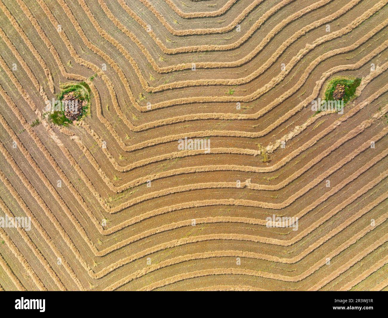 Aerial view of abstract patterns and lines in a harvested field at ...