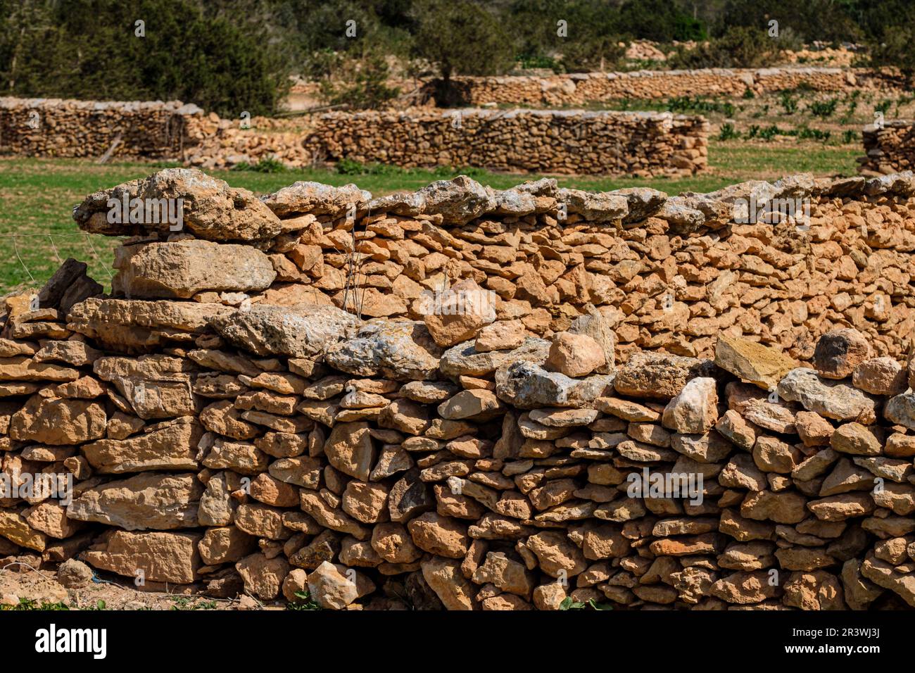 Traditional stone walls for agricultural land Stock Photo - Alamy