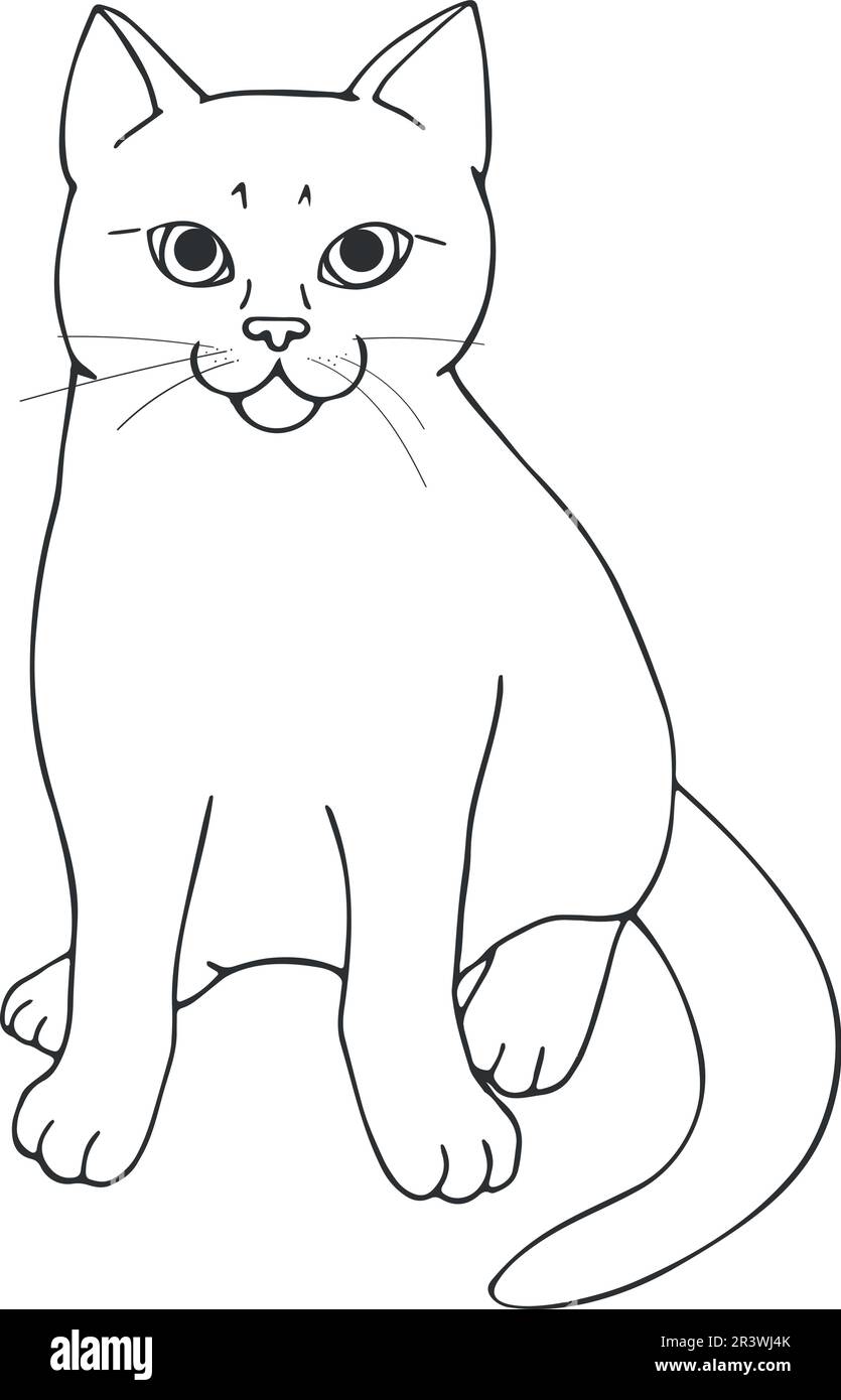 Cute sitting cat portrait on white background. Sitting animal contour ...