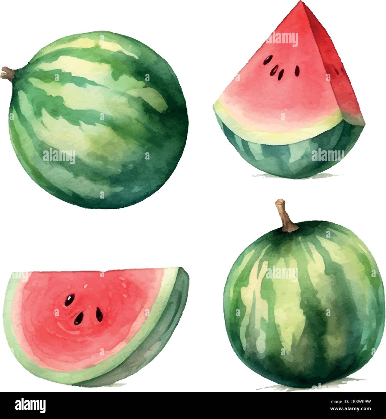 Watercolor watermelon painting Stock Vector Images - Alamy