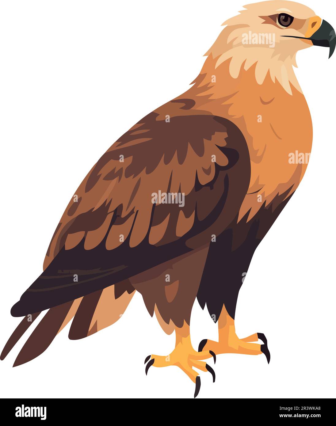 Flying Hawk Vector