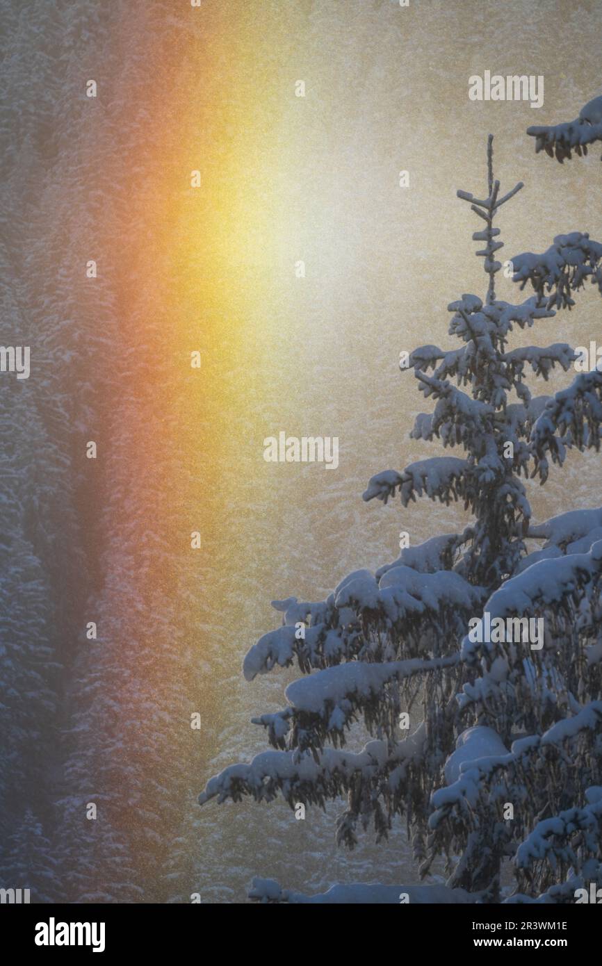 Winter rainbow with deep fresh snow at sunrise Stock Photo - Alamy