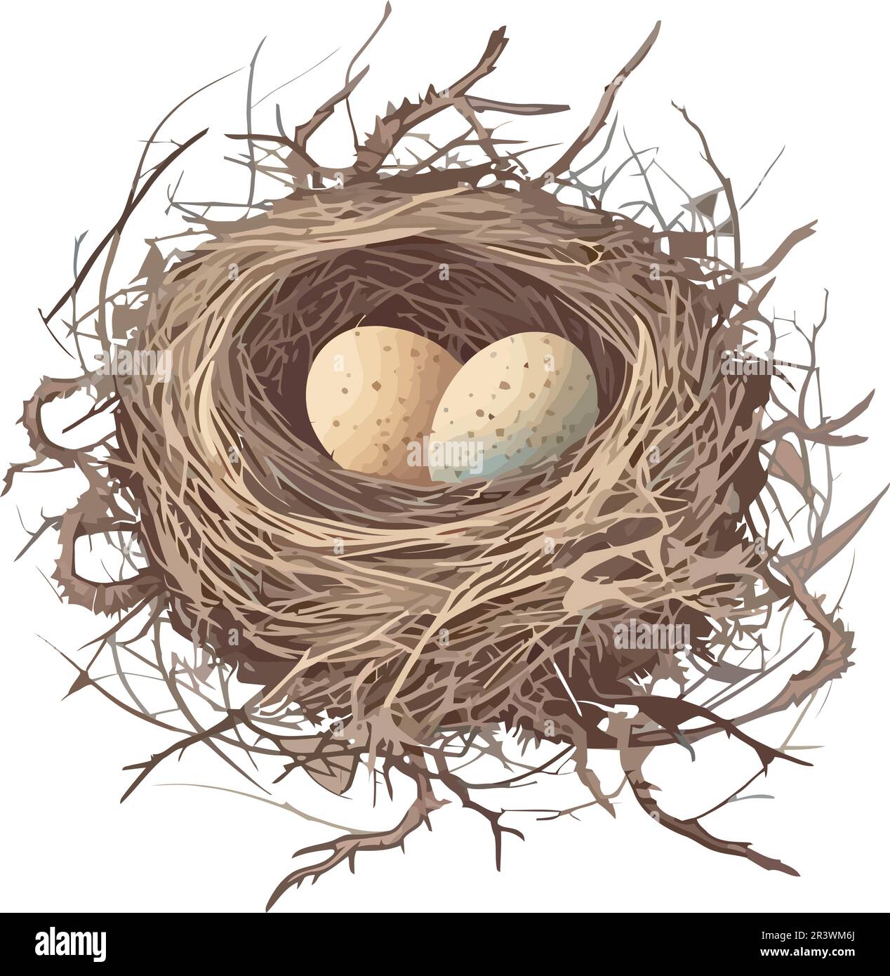 Organic bird nest celebrates springtime with eggs Stock Vector Image ...