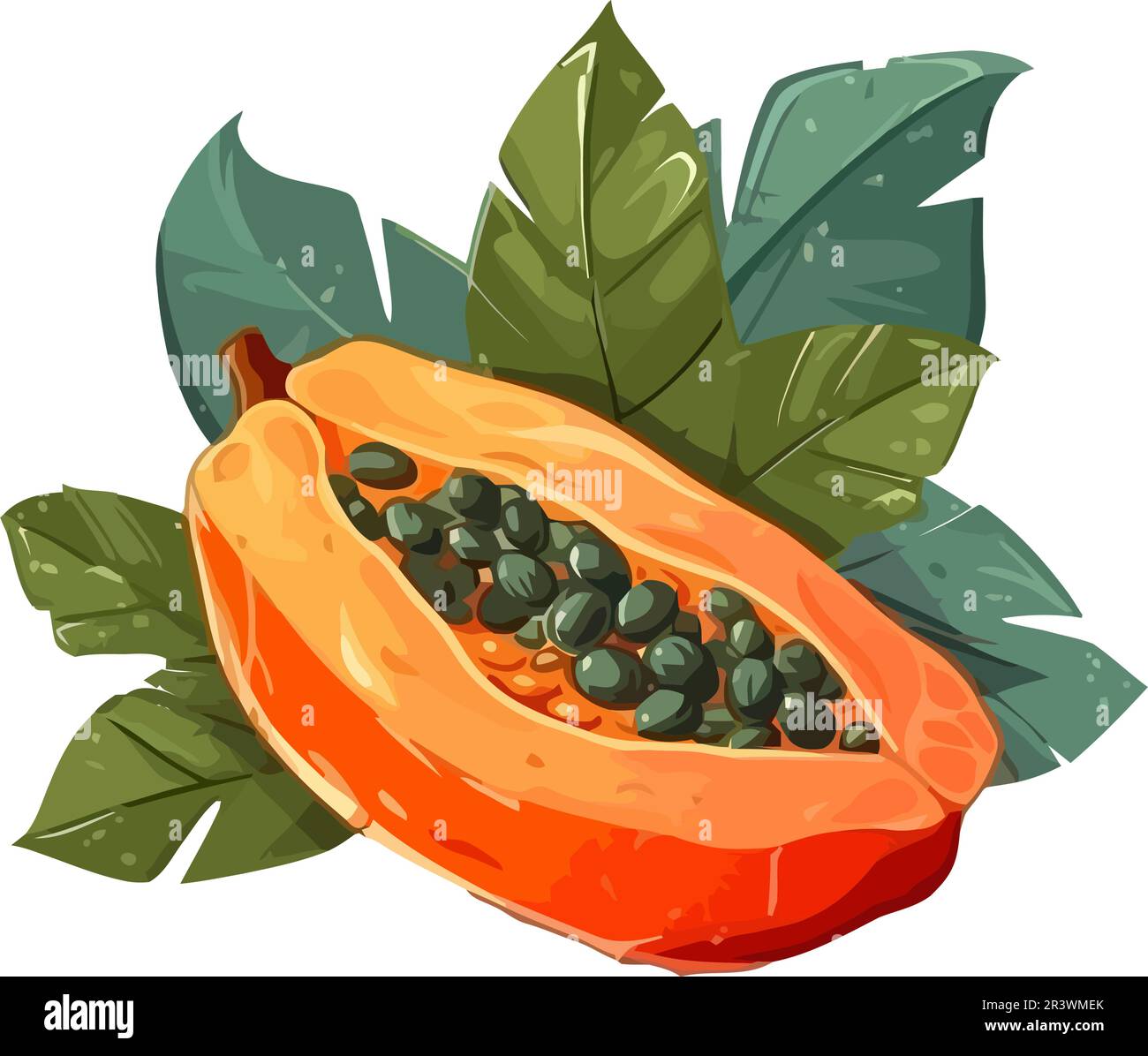 Juicy papaya slice, fresh from tropical farm Stock Vector Image & Art ...