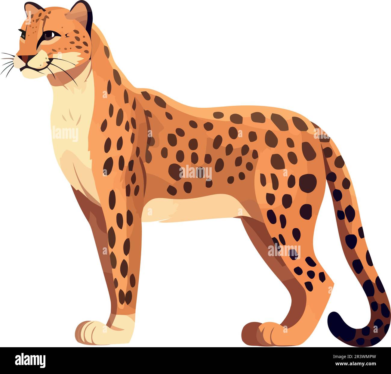 the cheetah, a cute spotted hunter walking Stock Vector Image & Art - Alamy