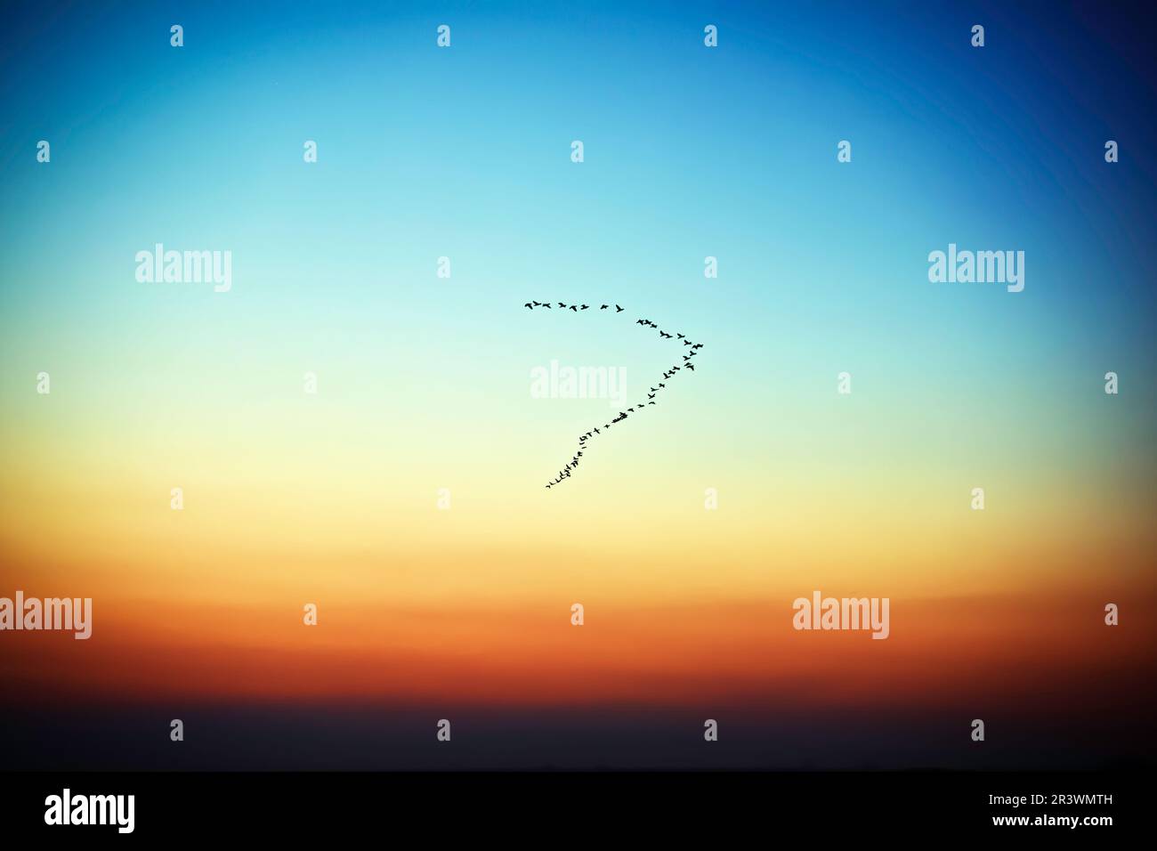 Red flock wallpaper hi-res stock photography and images - Alamy