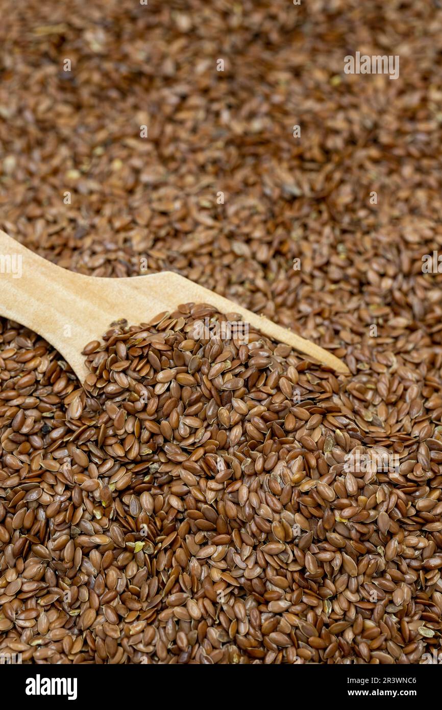 Flax seed linseed food grain hi-res stock photography and images - Alamy