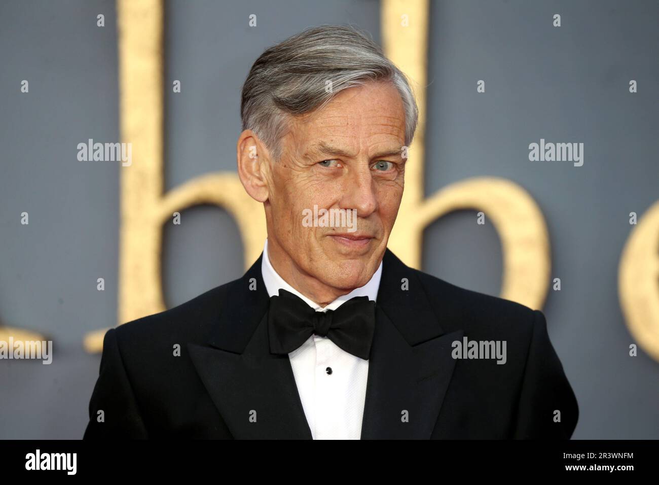 Downton abbey world premiere 2019 hi-res stock photography and images ...