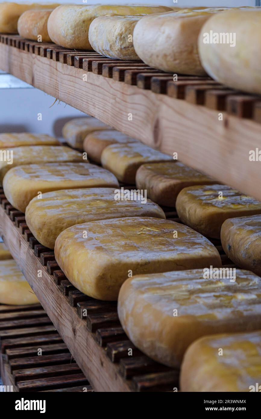 Cheese ripening shelves hi-res stock photography and images - Alamy