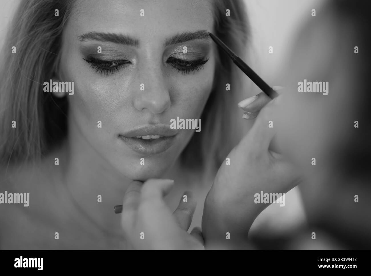 Beauty portrait of young woman model applying make up. Visage and ...