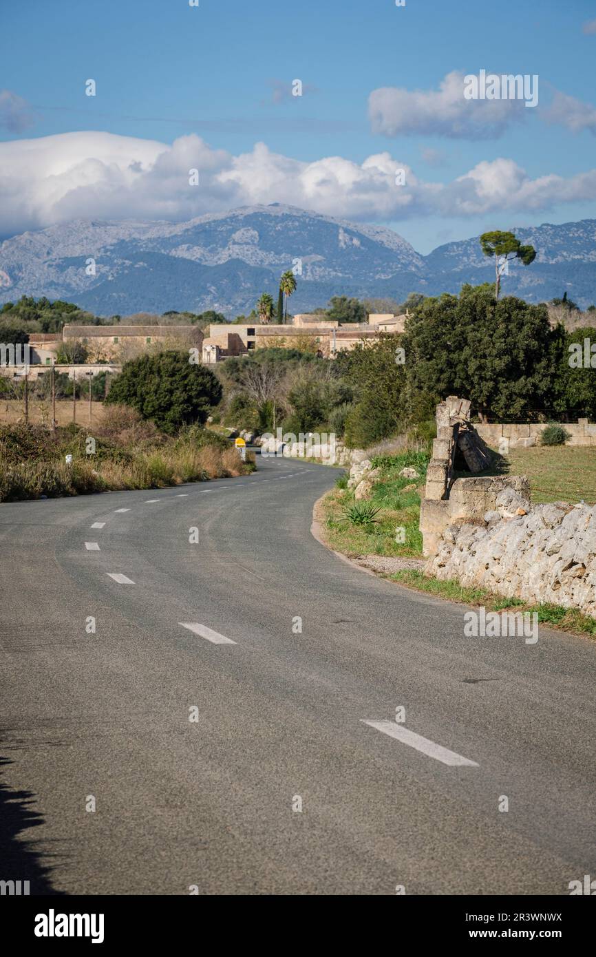 Canar hi-res stock photography and images - Alamy