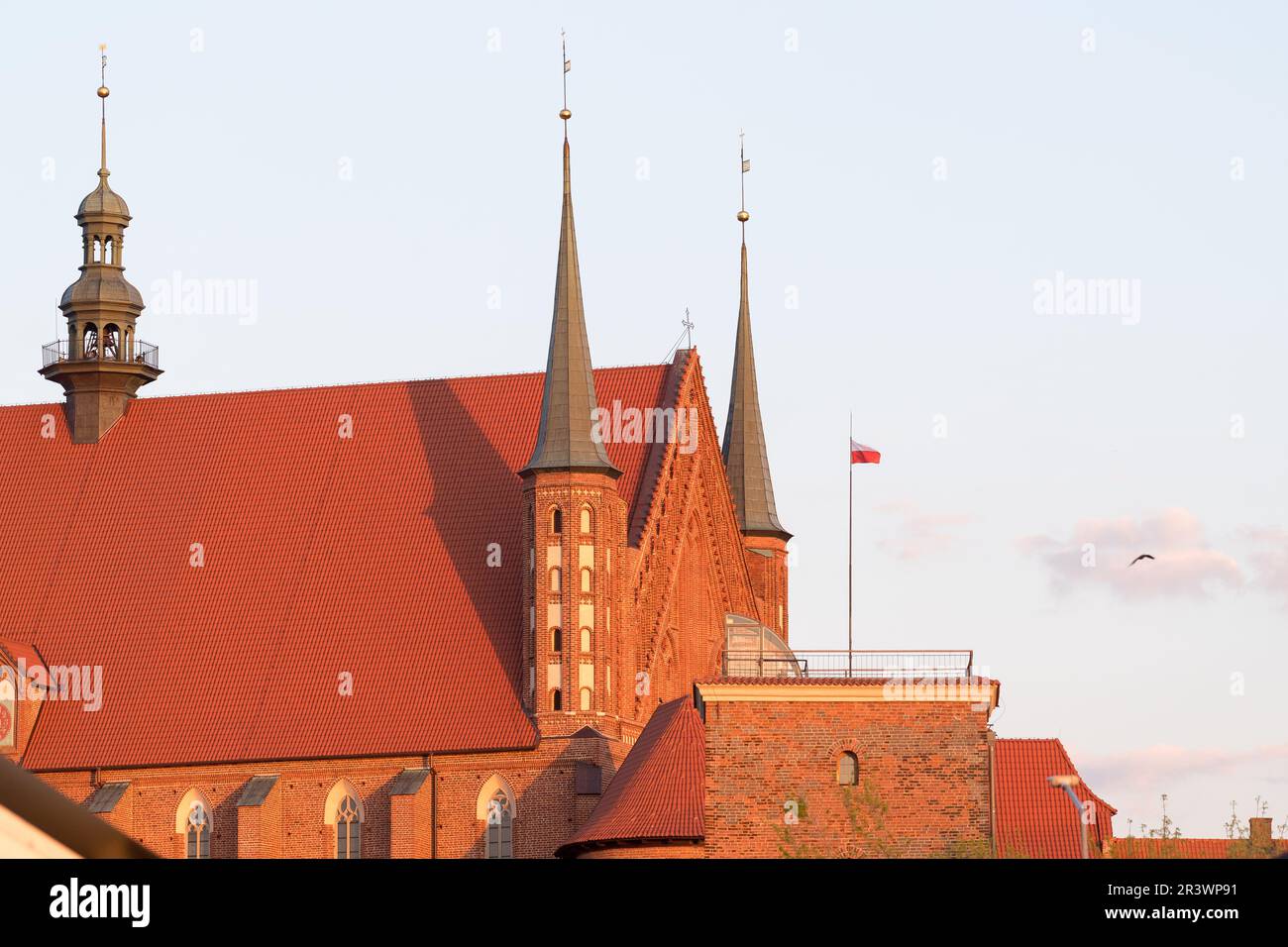 Gothic Archcathedral Basilica of the Assumption of the Blessed Virgin ...