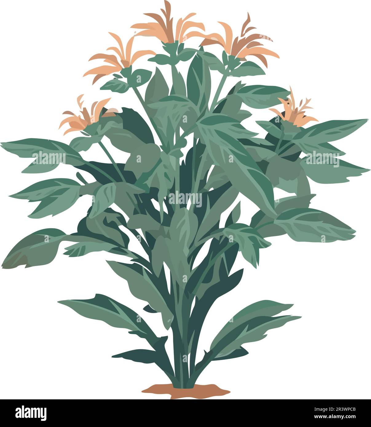 Season adorn Stock Vector Images - Alamy
