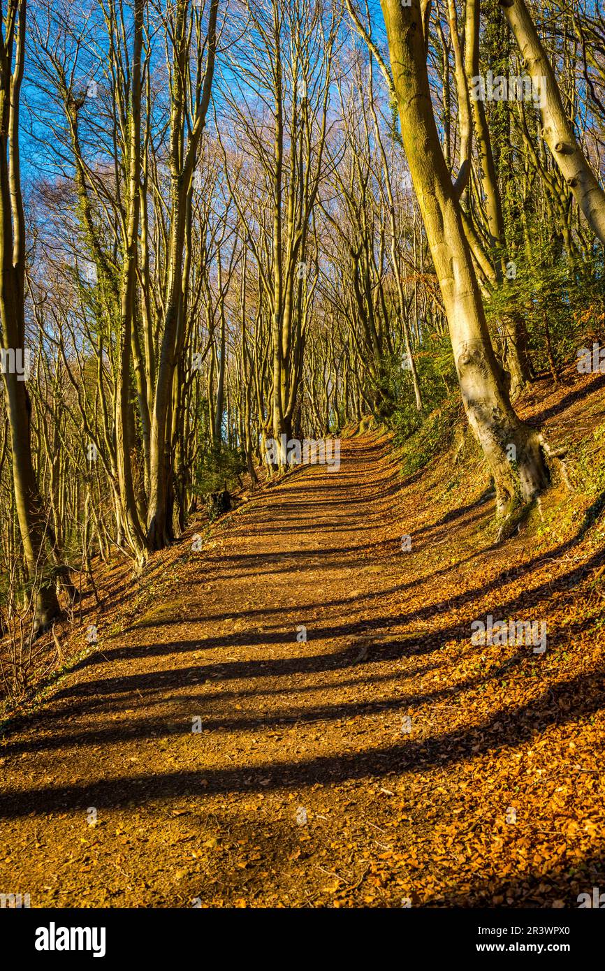 Cranham gloucestershire hi-res stock photography and images - Alamy