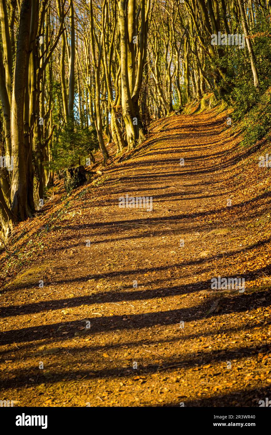 Cranham hi-res stock photography and images - Alamy