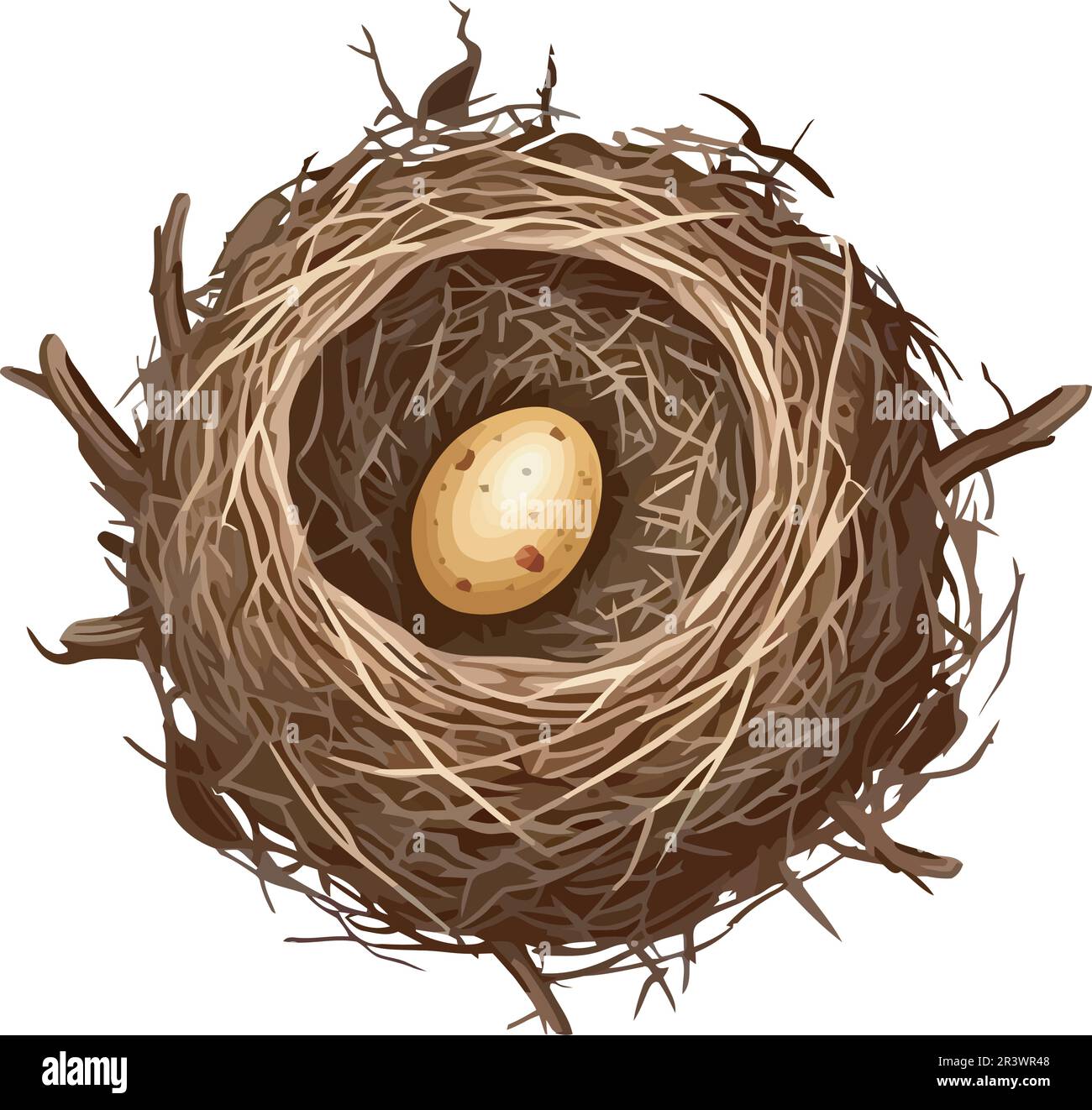 Hatching of birds Stock Vector Images - Alamy