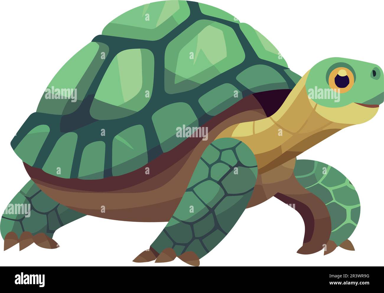 Slow Tortoise Clipart