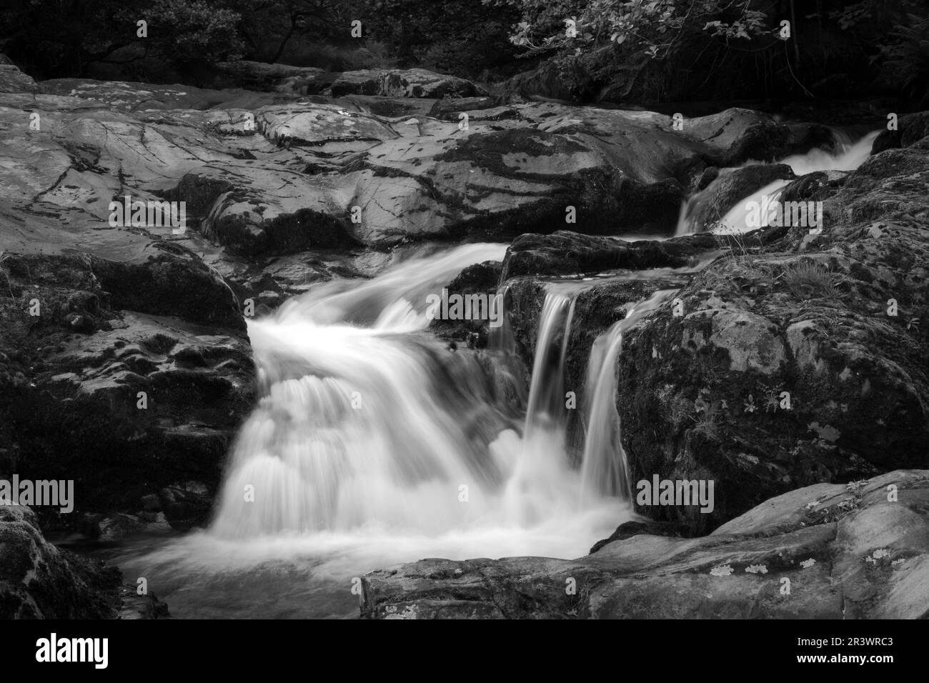 Black & white view of High Force, Cumbria Stock Photo - Alamy