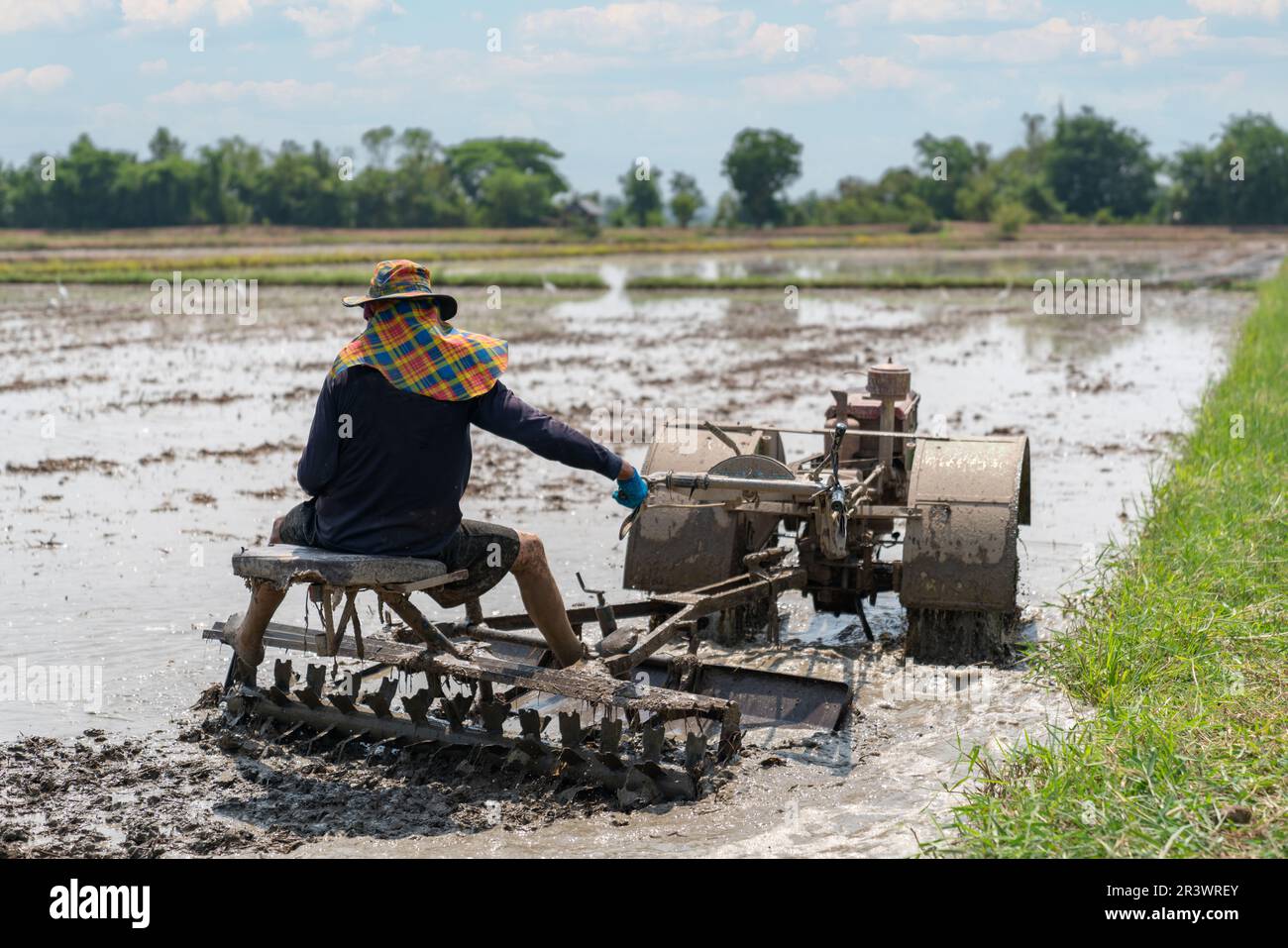 Farmers plow their fields in preparation for the next season's rice ...