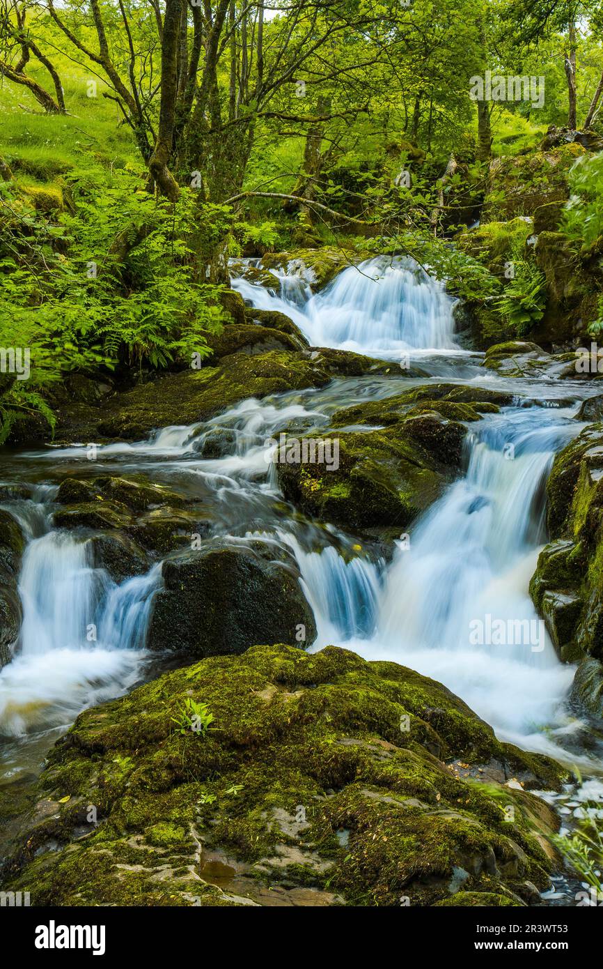 Small waterfall on Aira Beck near Dockray in the Lake District Stock ...
