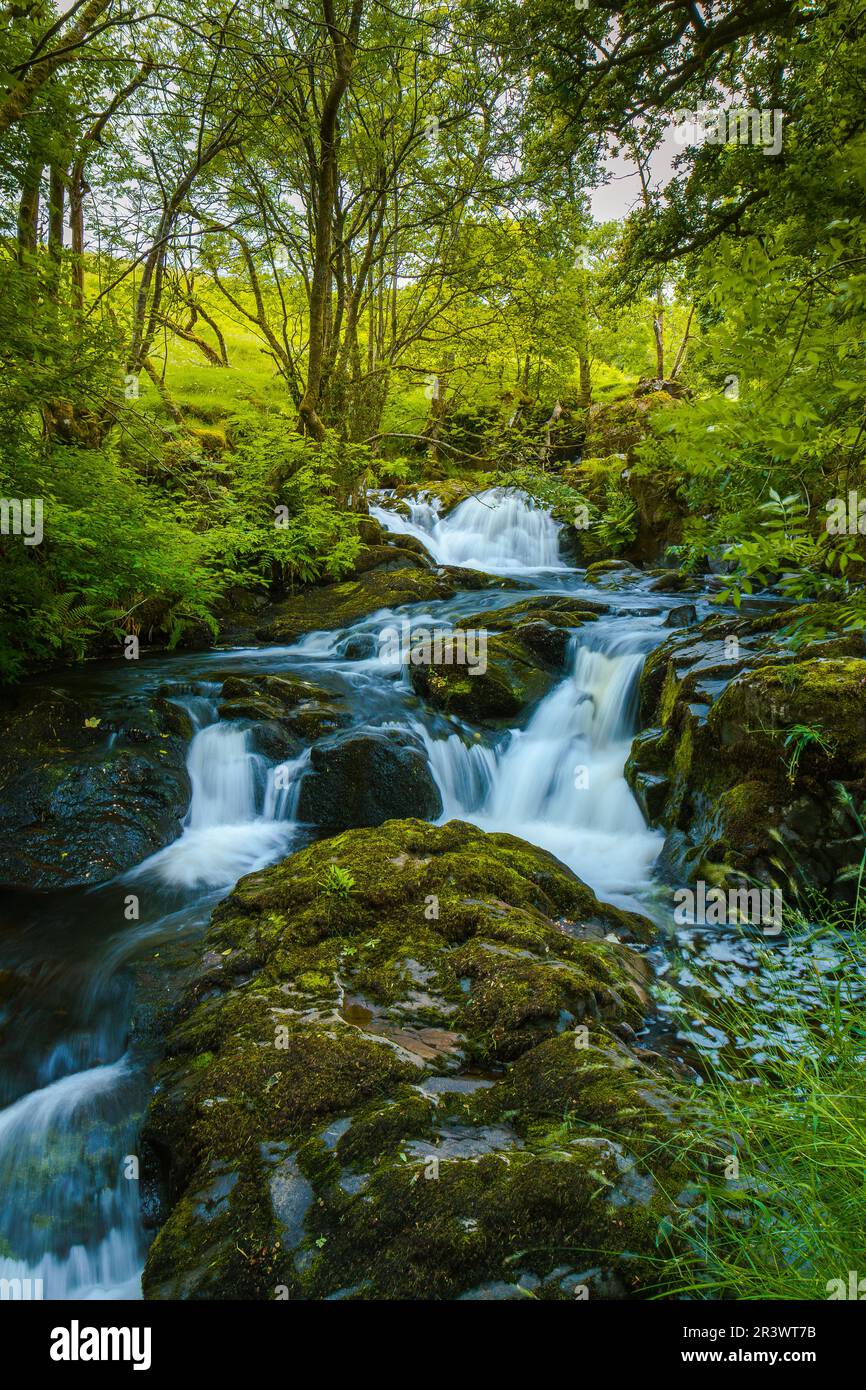 Small waterfall on Aira Beck near Dockray in the Lake District Stock ...
