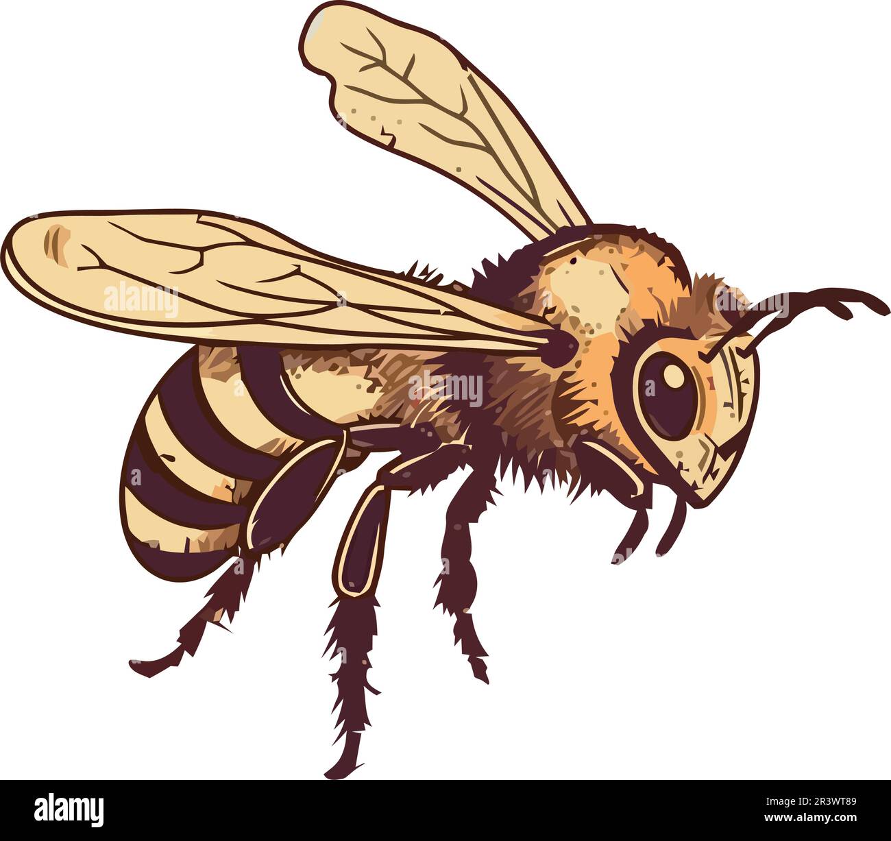 Buzzing bee pollinates flower insect Stock Vector Image & Art - Alamy