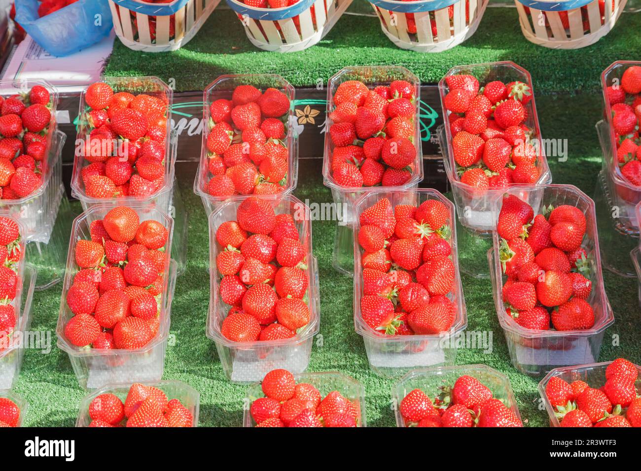 Strawberries in france hi-res stock photography and images - Alamy