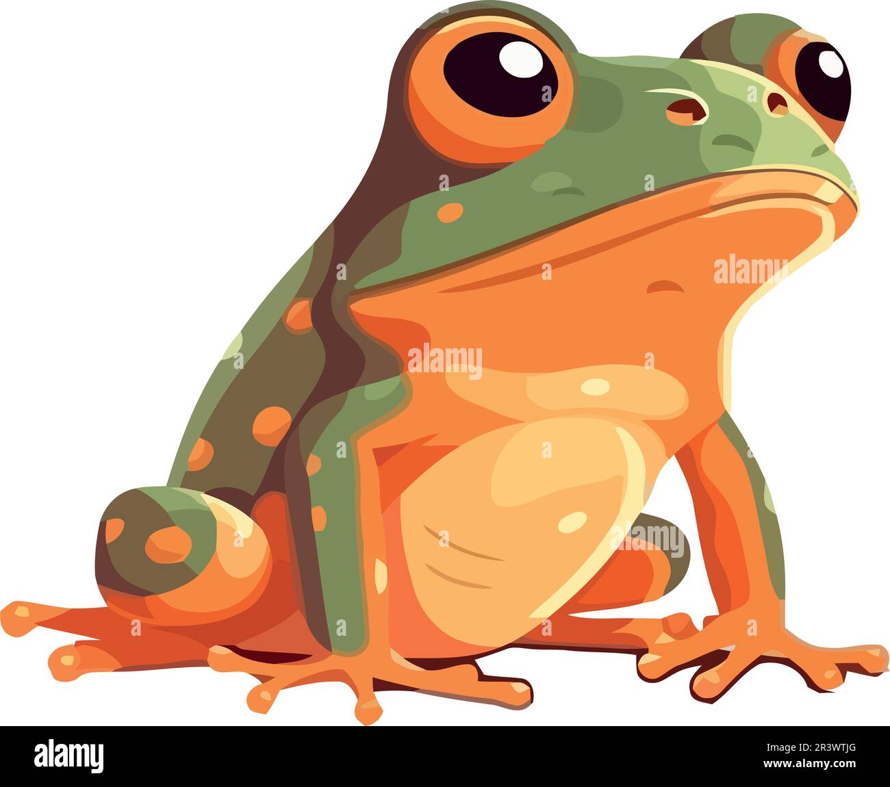 Cute green toad sitting illustration Stock Vector Image & Art - Alamy