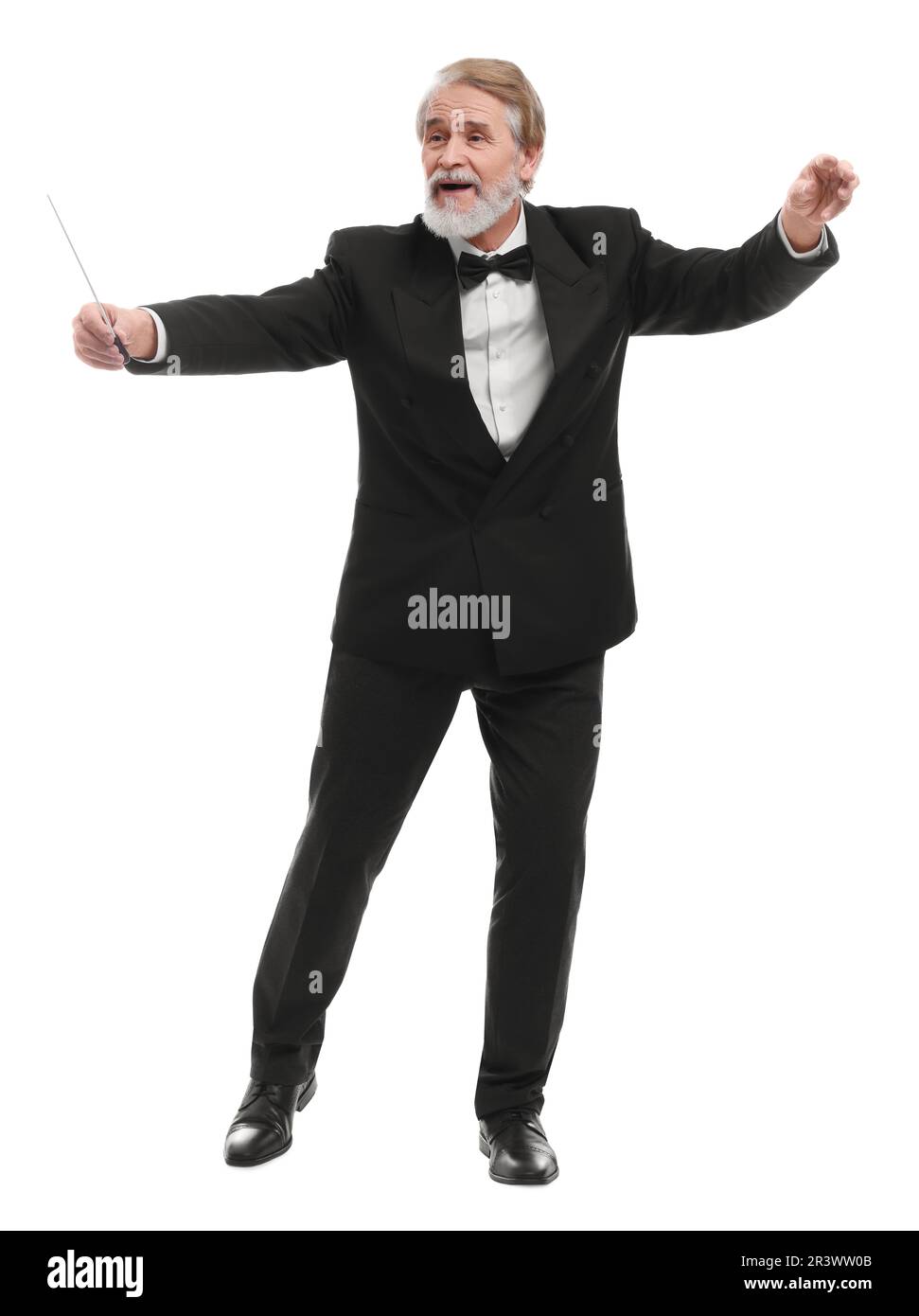 Professional conductor with baton on white background Stock Photo - Alamy