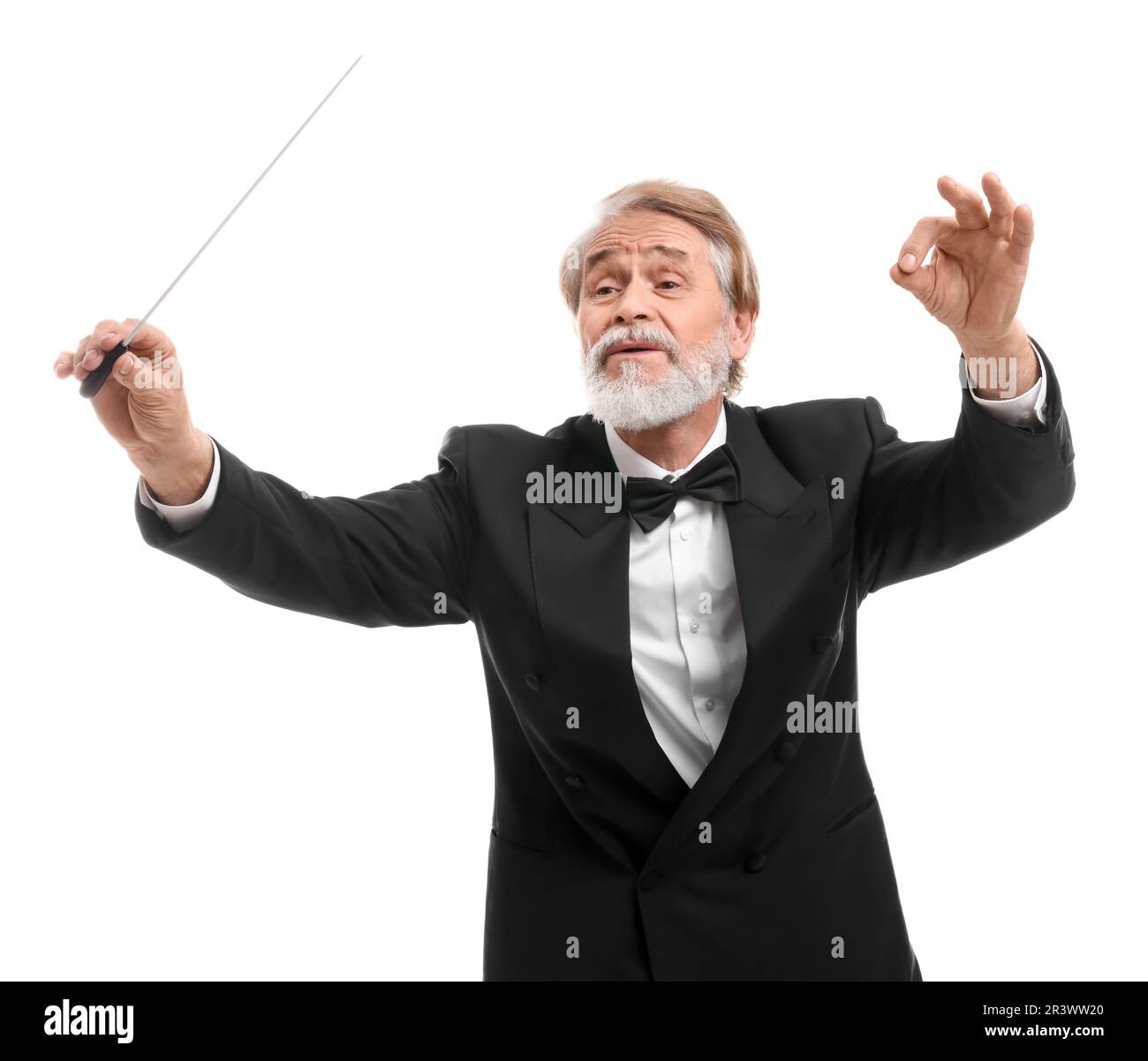Professional conductor with baton on white background Stock Photo - Alamy