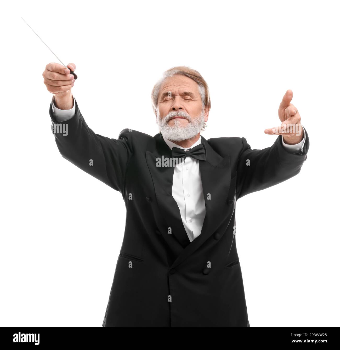 Professional conductor with baton on white background Stock Photo - Alamy