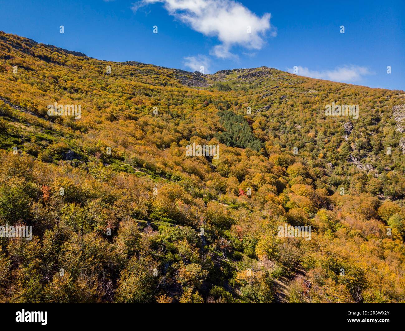 Colorful habitat hi-res stock photography and images - Alamy