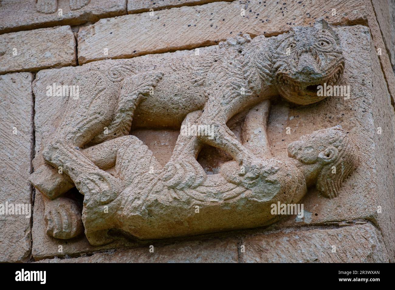 Lion attacking a man Stock Photo - Alamy