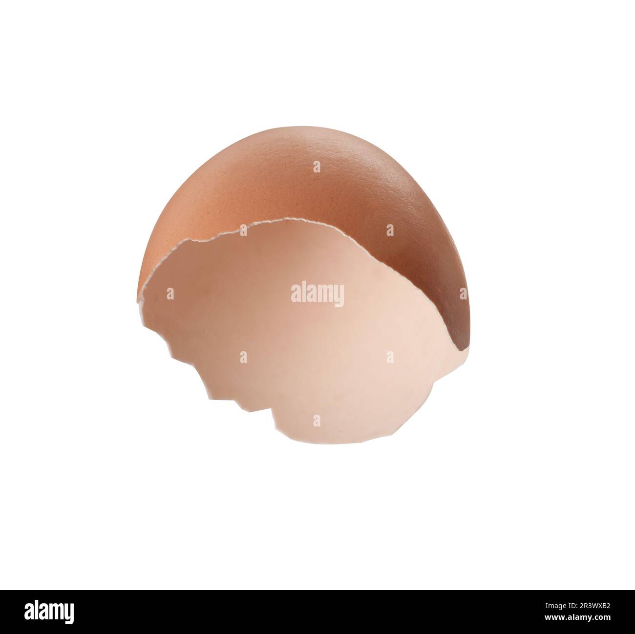 Shell of egg isolated on white background Stock Photo - Alamy