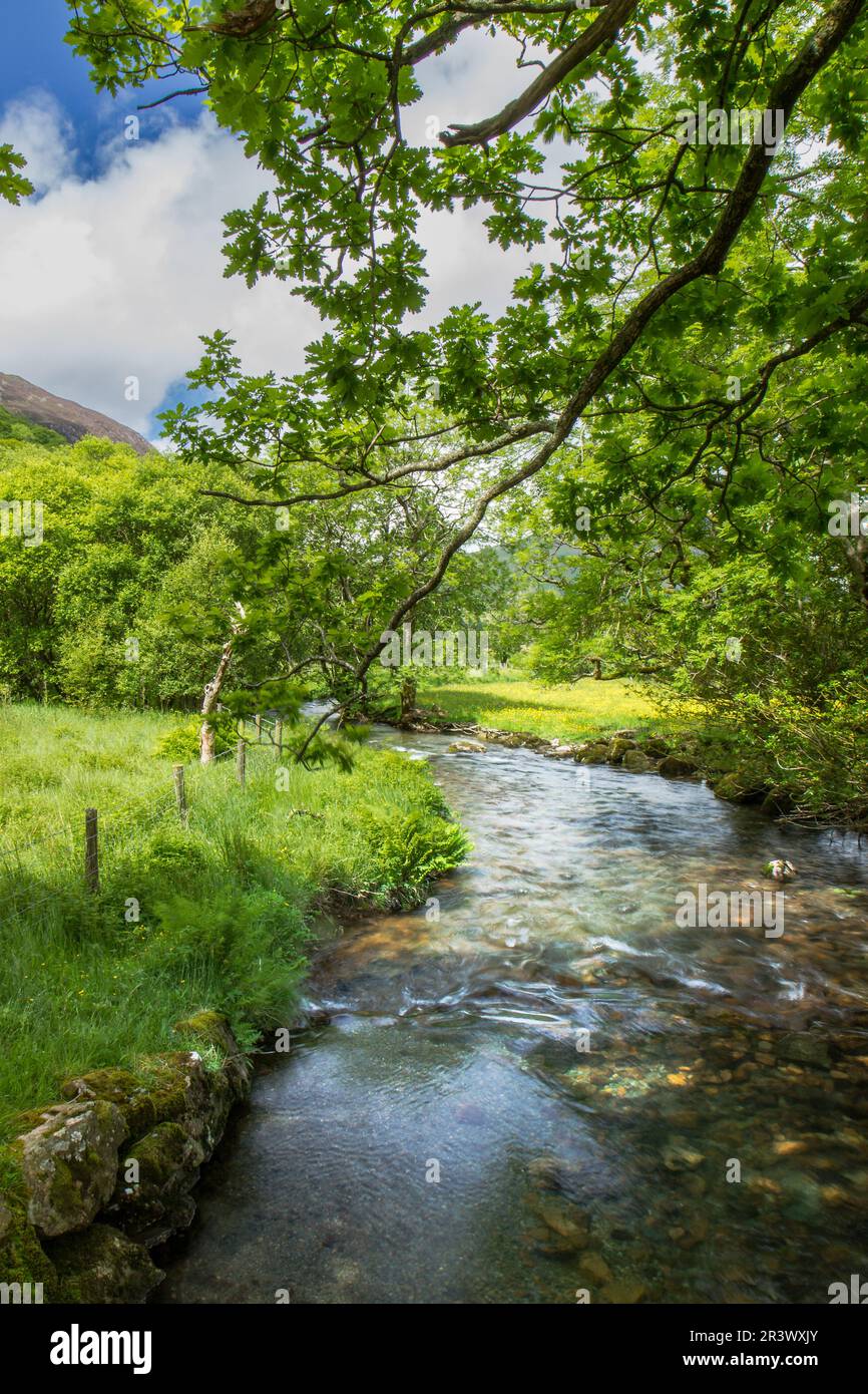 Buttermere Dubs, a narrow river in the Lake District connecting ...