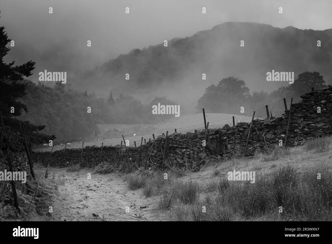 Misty morning near Rydall Mount in the Lake District Stock Photo - Alamy