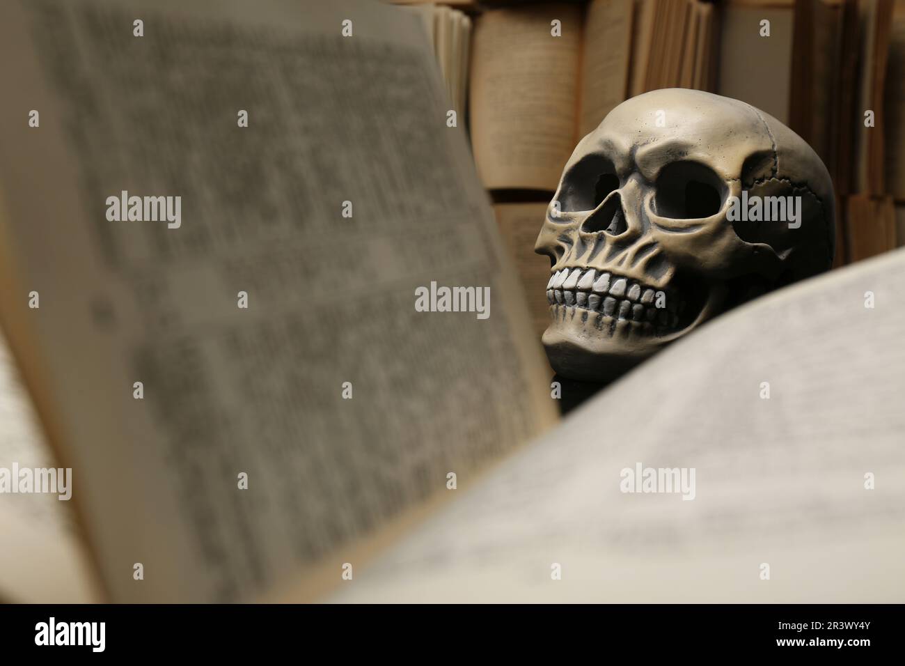 Human skull and old books, closeup view Stock Photo - Alamy