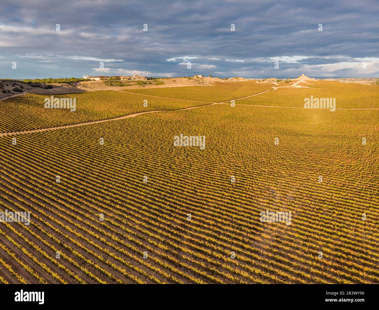 Vines from above hi-res stock photography and images - Alamy