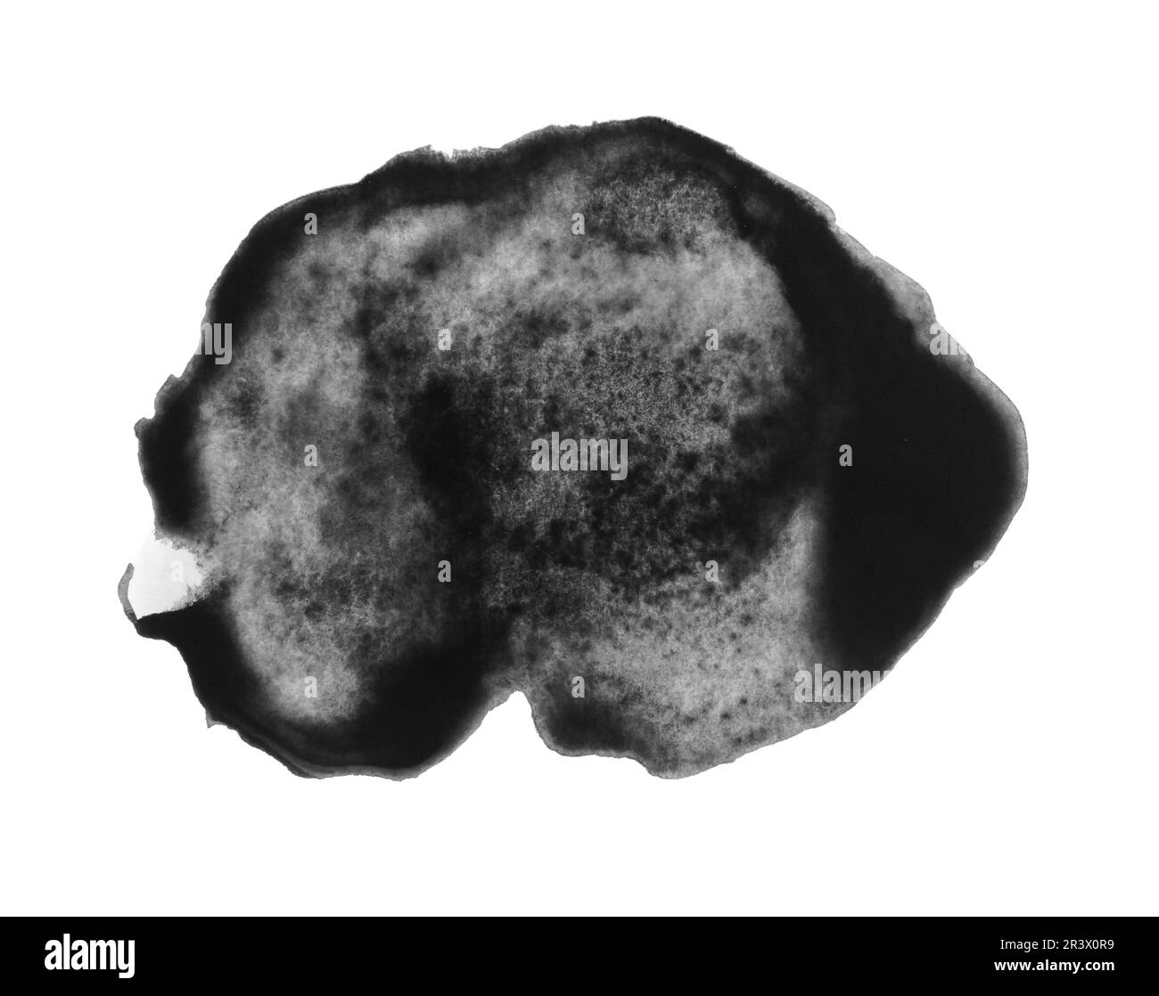 Blot of black watercolor paint isolated on white, top view Stock Photo ...